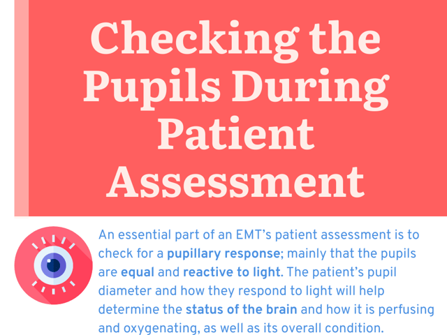 Pupil Assessment Scale